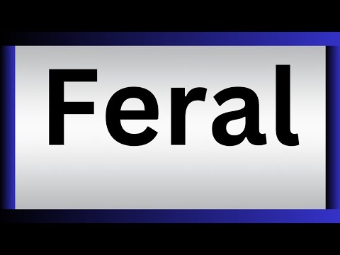 How To Pronounce Feral | What Is The Meaning Of Feral