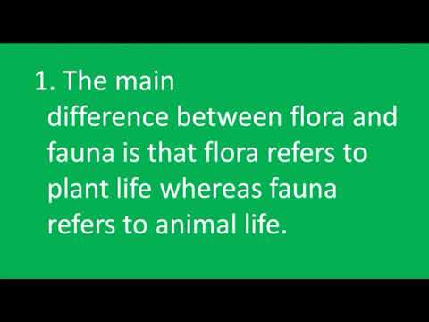Difference between flora and fauna