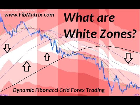 What are Dynamic Fibonacci White Zones?? FibMatrix Forex Scalping ...