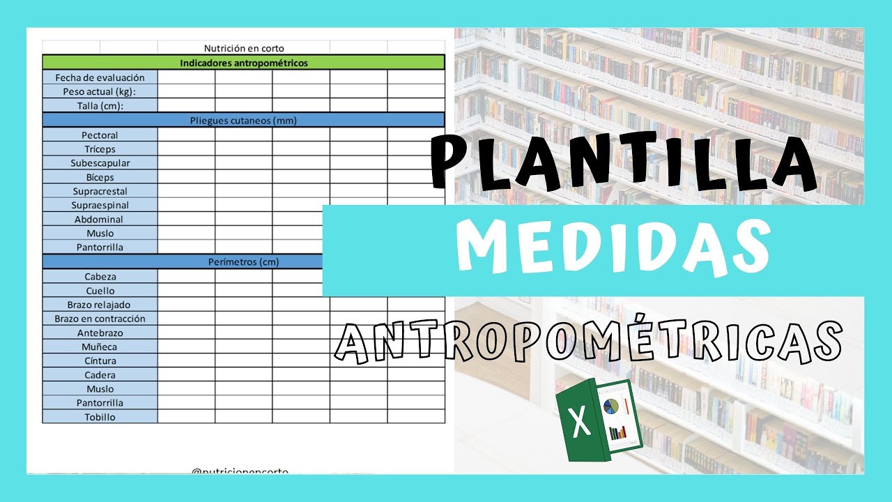 Tutorial tabla de medidas antropométricas | Excel para estudiantes de nutrición