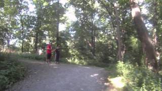 3 Best Hiking Trails in Allentown, PA - Expert Recommendations