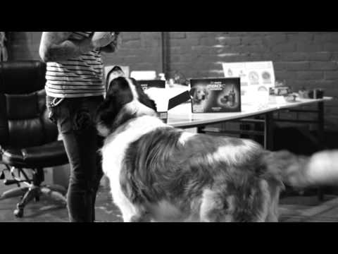 DOGTRA 280C Dog Training eCollar Review with America's Canine Educator