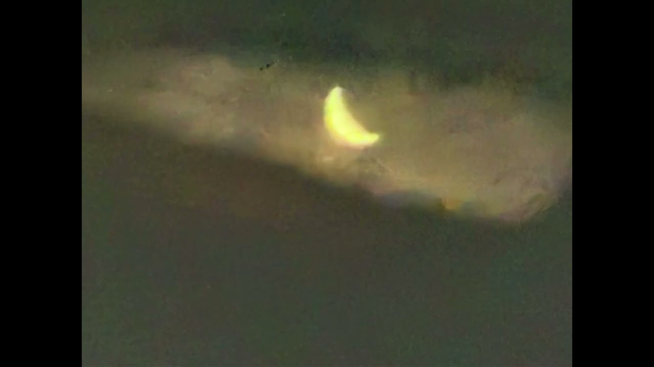 Stories (Official Audio)