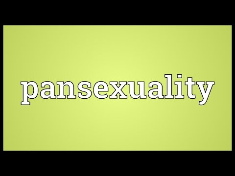 Pansexuality Meaning