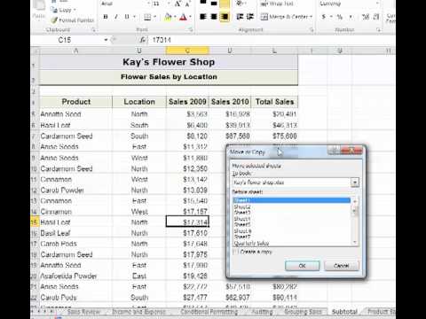 Excel - Copy a Worksheet to another Workbook