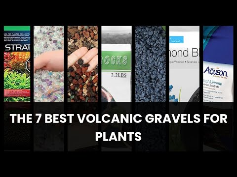 Volcanic gravel for plants: The 7 Best Volcanic Gravels for Plants