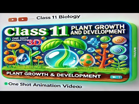 CBSE Class 11 || Biology || Plant Growth and Development || Animation || in English