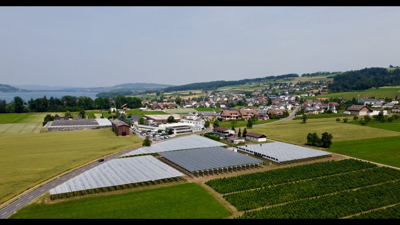 insolagrin @ bioschmid | agrivoltaic installation | AgriPV