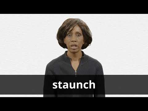 STAUNCH definition and meaning | Collins English Dictionary