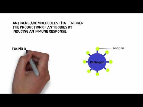 What is Antigen? Properties, Types and Structure of Antigens. (Easy explanation)