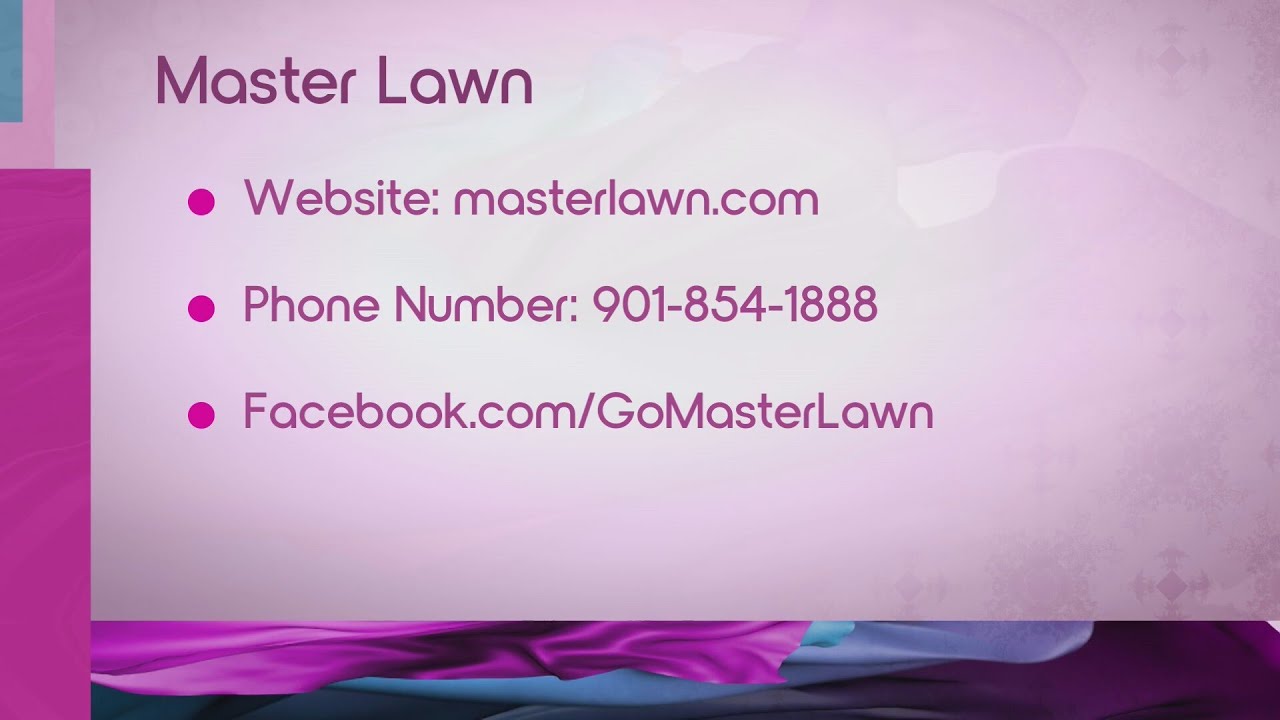 Get the Best Lawn Care Services with Master Lawn