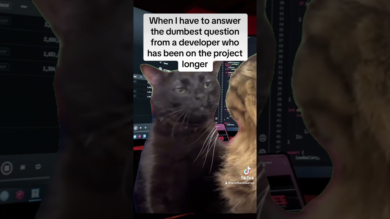 When you have to answer dumb questions #meme #funny #programminghumor  #developerhumor