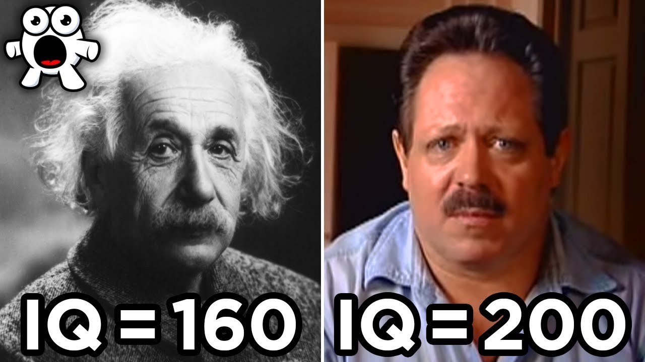 The Complex Relationship Between Intelligence and Success: Lessons from ...