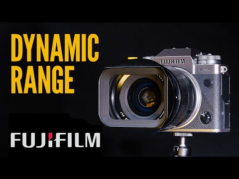 Fuji X-T4: Dynamic range settings (16650467)