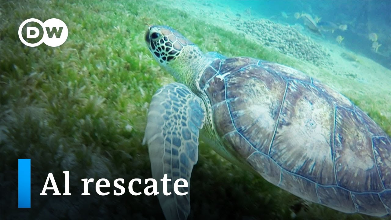 Turismo de conservación en Nicaragua