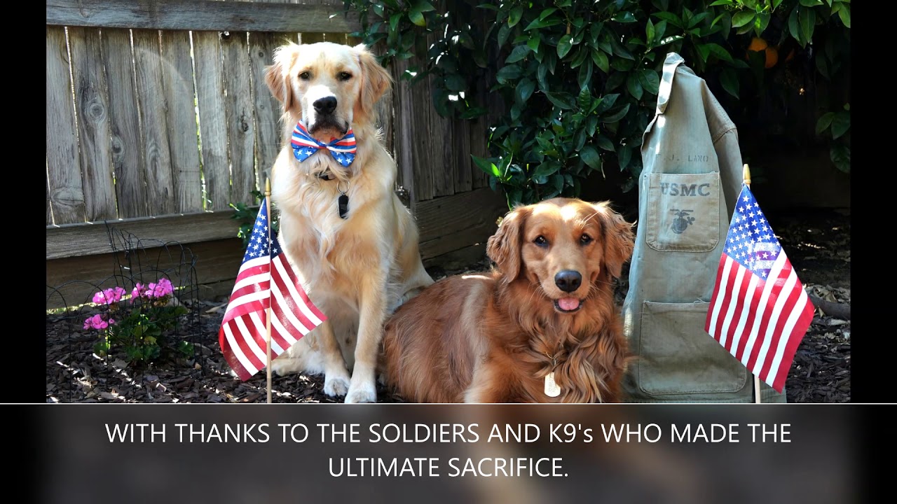 Memorial day GIF