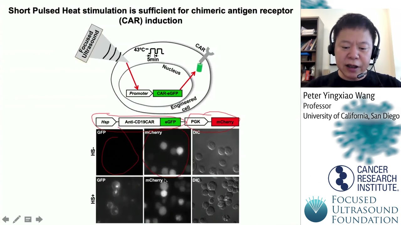 Cancer Immunotherapy Workshop 2021 – Engineering Remotely Controllable CAR T Cells