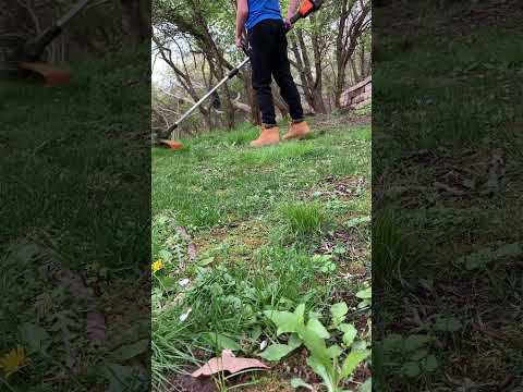 Word 40v weed whacker review