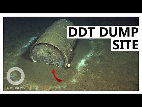 DDT Dumpsite Suspected off California Coast