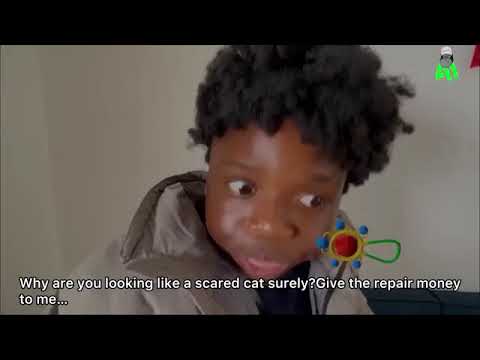 best of bakeries comedy