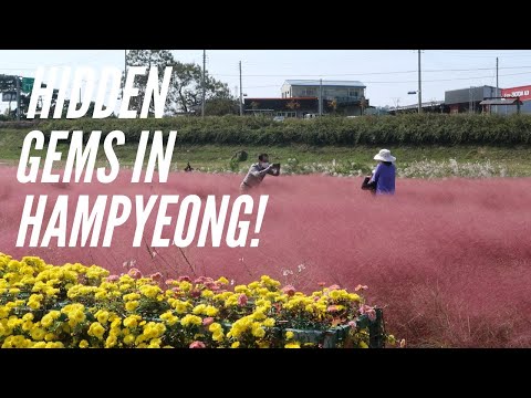 A day in Hampyeong, South Korea | Journey with Jacqui