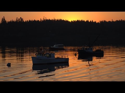 Summerkeys - A Music Adventure In Lubec maine