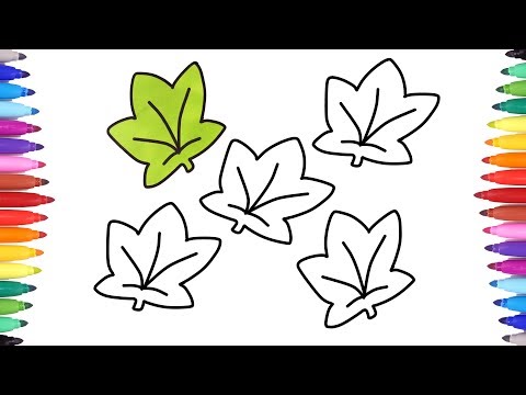 How to draw a leaf | Drawing and Coloring Leaves | Fall Season set Coloring Pages