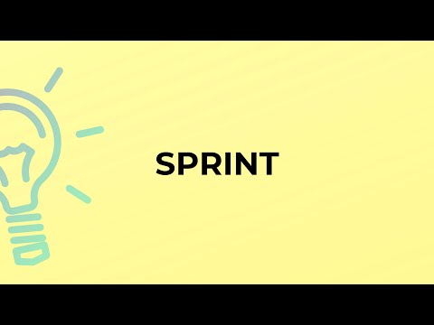 What is the meaning of the word SPRINT?