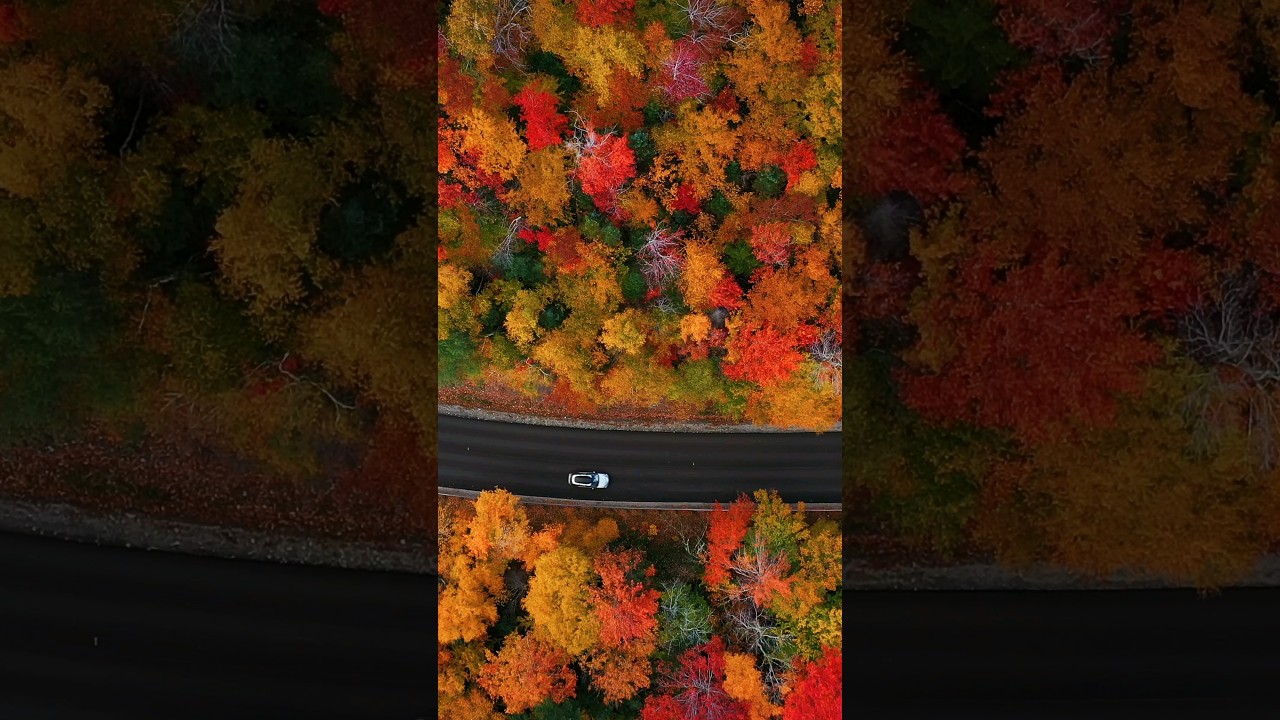📍New Hampshire Fall Foliage!  #NewHampshire #fallseason #fallfoliage #autumn #fall #fallcolors