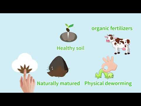 What is organic cotton?