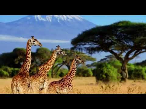 THE ORIGINAL NAME OF AFRICA