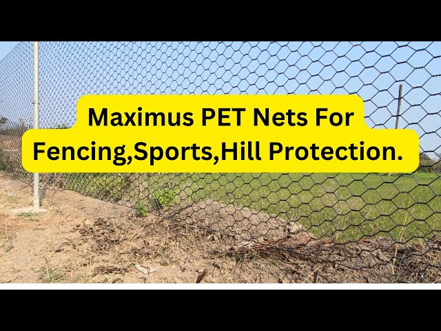 Plastic Mesh - Maximus PET Nets Manufacturer from Surat