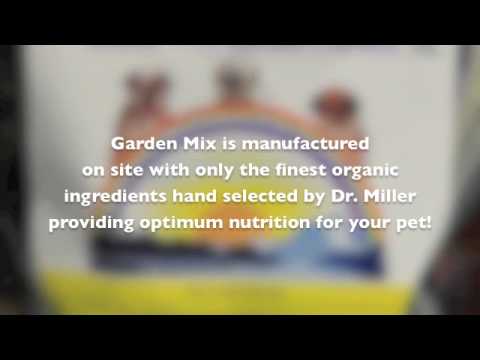 Dr Miller Animal Wellness DVD upload 4