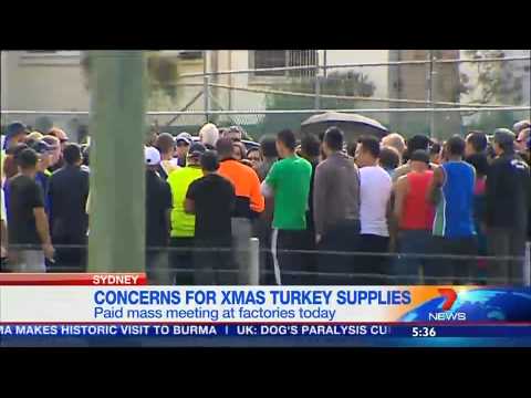 Christmas turkey supply concerns