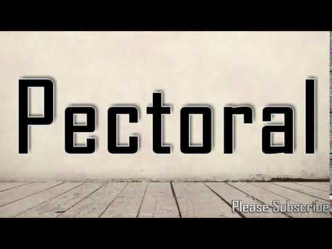 How to Pronounce Pectoral