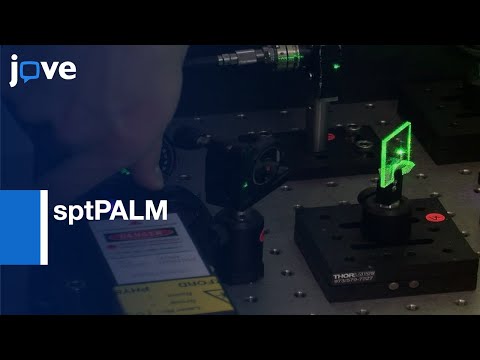 sptPALM for Visualizing Protein-DNA Interactions | Protocol Preview