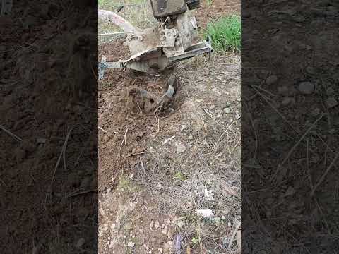 Ploughing the ground and loosening the soil - good machinery to help work