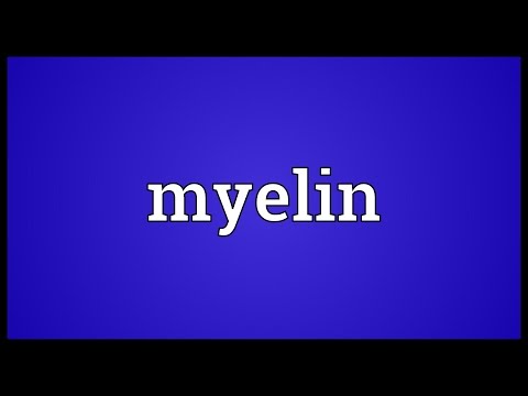 Myelin Meaning