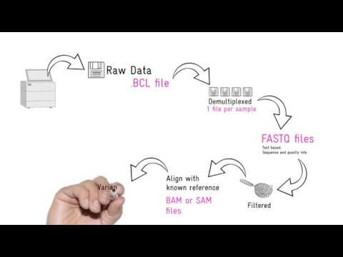 NGS data analysis, Pipelines, Bioinformatics and other jargon