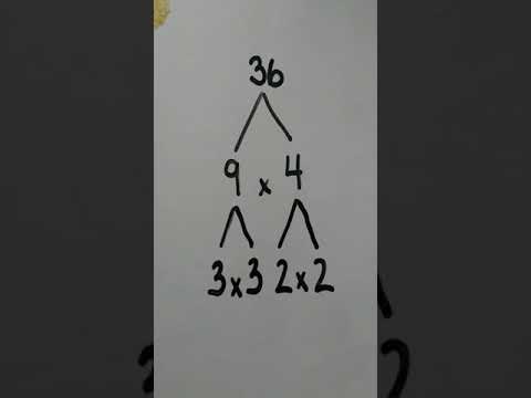 Decomposing a number into prime factors (factor tree-simple) 1/2