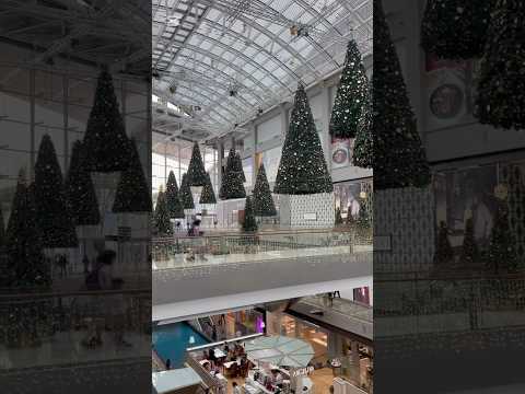 🎄🤩 Floating Christmas Trees at The Shoppes at Marina Bay Sands  luxury shopping mall ✨#singapore