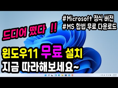 [Microsoft 공식 배포] 윈도우11 정식버전, 무료 설치 방법 (MS 공식 홈피 다운로드) #Windows11정식출시 #윈도우11무료다운로드
