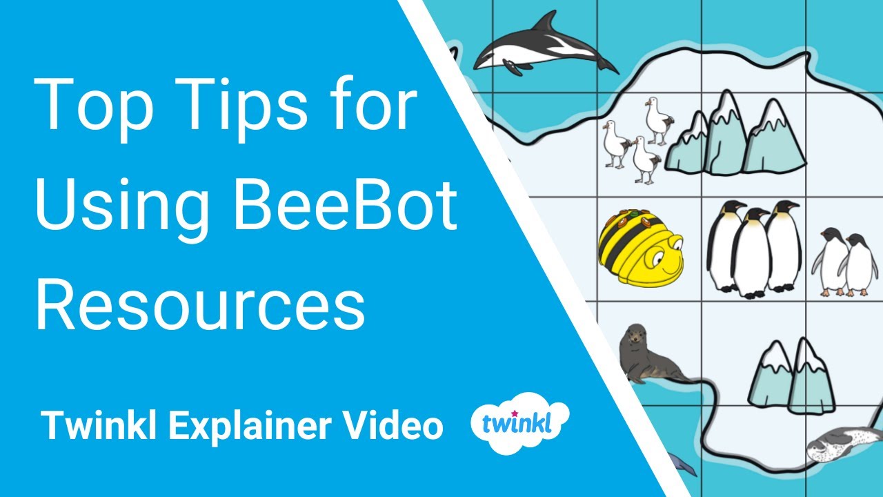 Top Tips for Using BeeBot Resources
