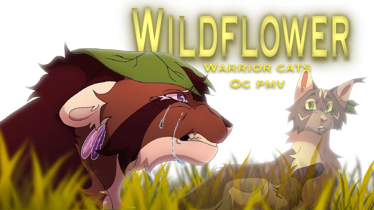 WILDFLOWER|| Warrior cats PMV