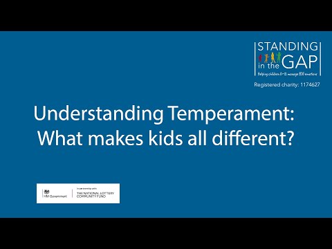 Understanding Temperament (child mental health)