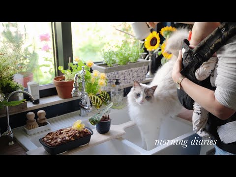 Cozy Morning Diary: ???? My Birth Story & Baking a Healthy Banana bread