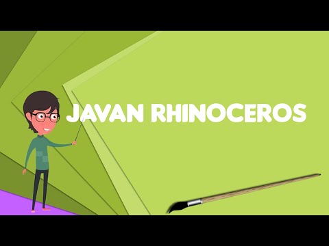 What is Javan rhinoceros?, Explain Javan rhinoceros, Define Javan rhinoceros
