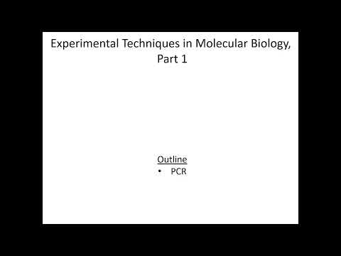 Experimental Techniques in Molecular Biology, Part I