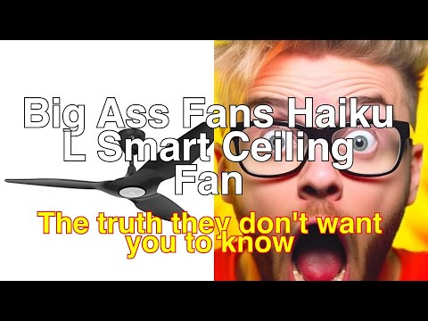 Big Ass Fans Haiku L Smart Ceiling Fan Review - Is It Worth the Hype?