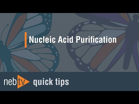 Quick Tips - How can I avoid genomic DNA or RNA contamination in my minipreps?